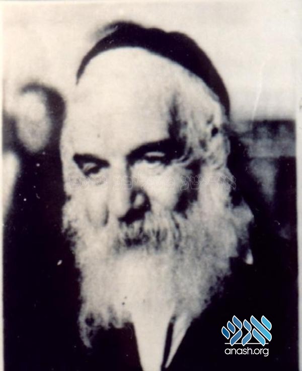 The Rebbe and the Munkatcher | Anash.org