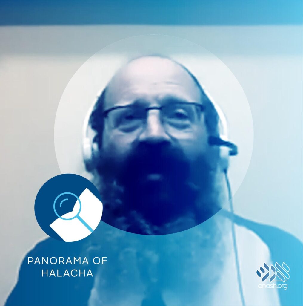 Watch: Panorama of Halacha | Anash.org