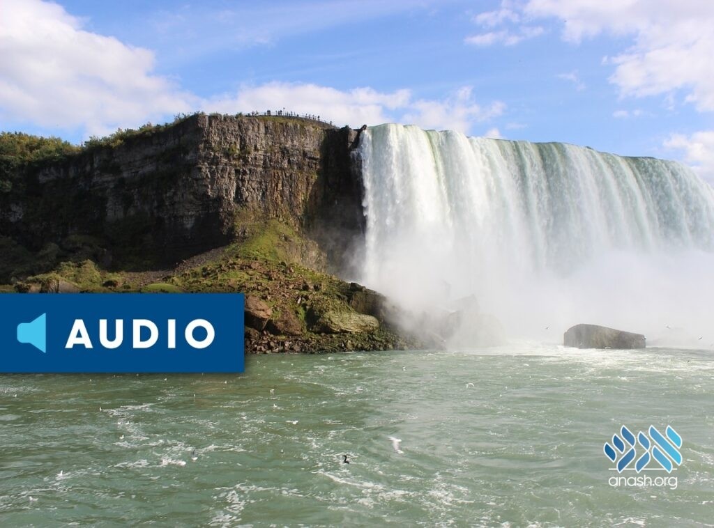 Miracle at the Falls: Crown Heights Mother Survives 50-Foot Fall ...