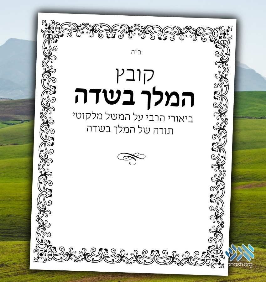 Booklet Sheds New Light on ‘the King in the Field’ - Anash.org Booklet Sheds New Light on ‘the King in the Field’ - Anash.org