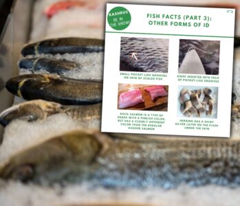 Fish Facts: All You Need to Know About Kosher Fish Shopping - Anash.org