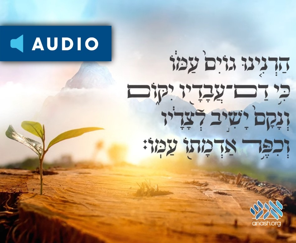 ‘Harninu’ Remake Released in Tribute to Terror Victims | Anash.org