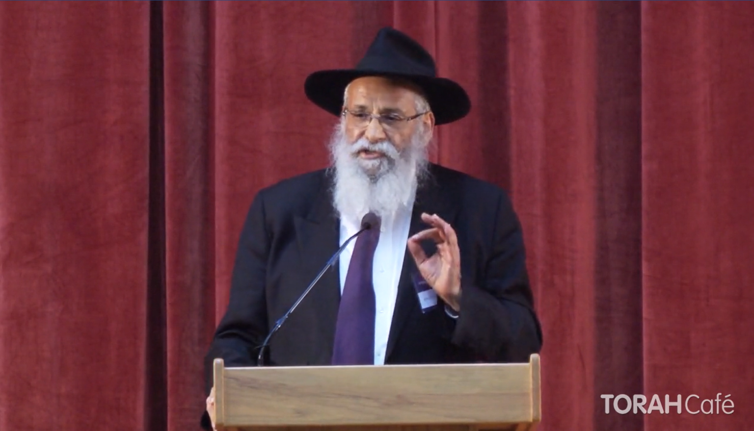 Watch: 13 Most Powerful Moments with Rabbi Lipskar | Anash.org