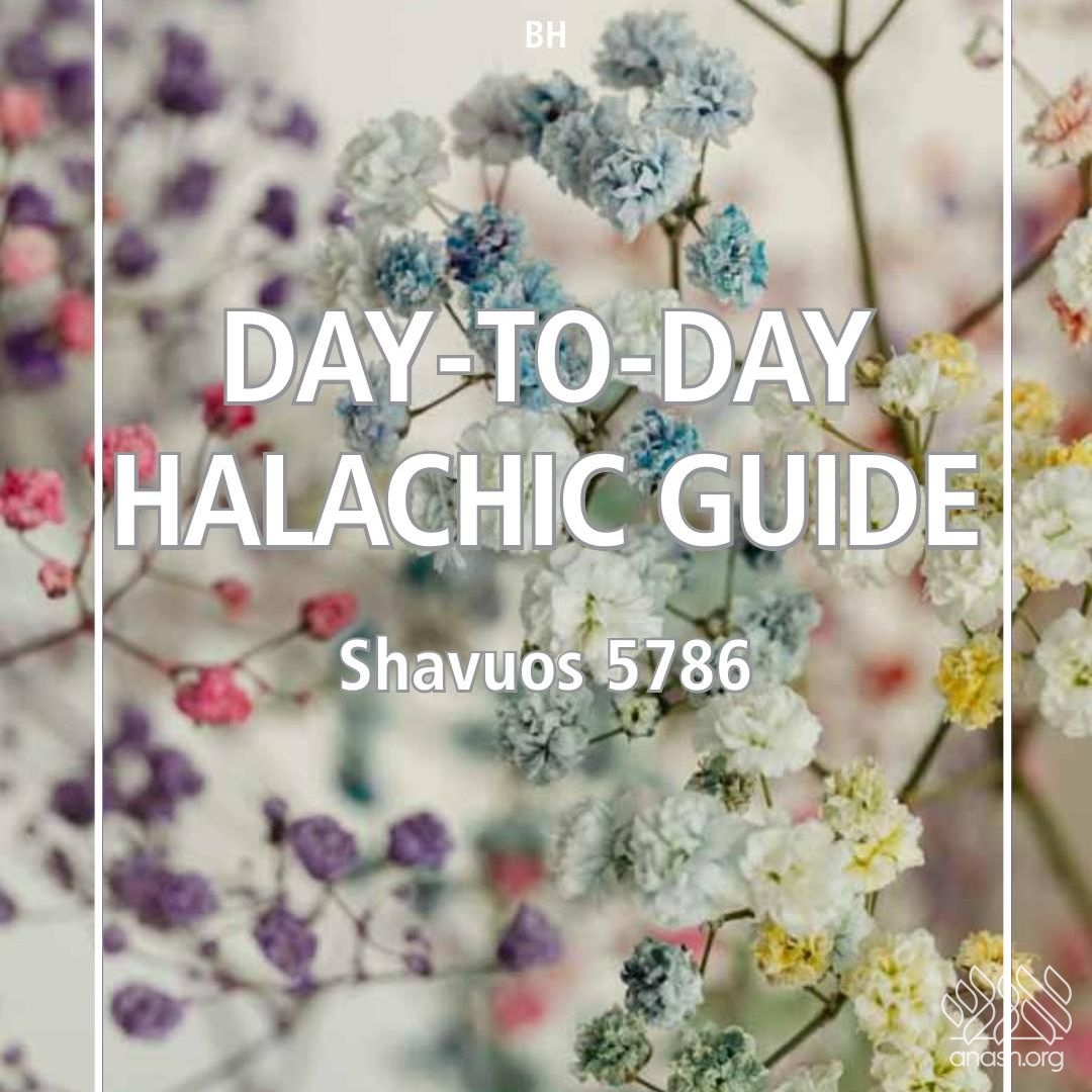 Day-To-Day Halacha Guide for Shavuos 5786 | Anash.org